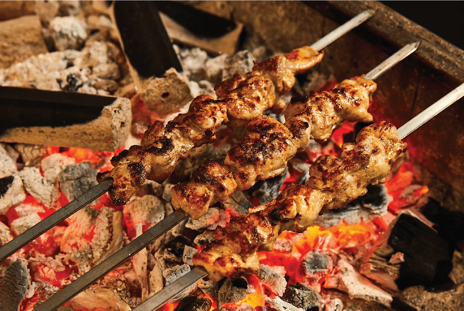 Laser Wolf | Israeli Rooftop Restaurant | The Hoxton, Williamsburg | Brooklyn, New York